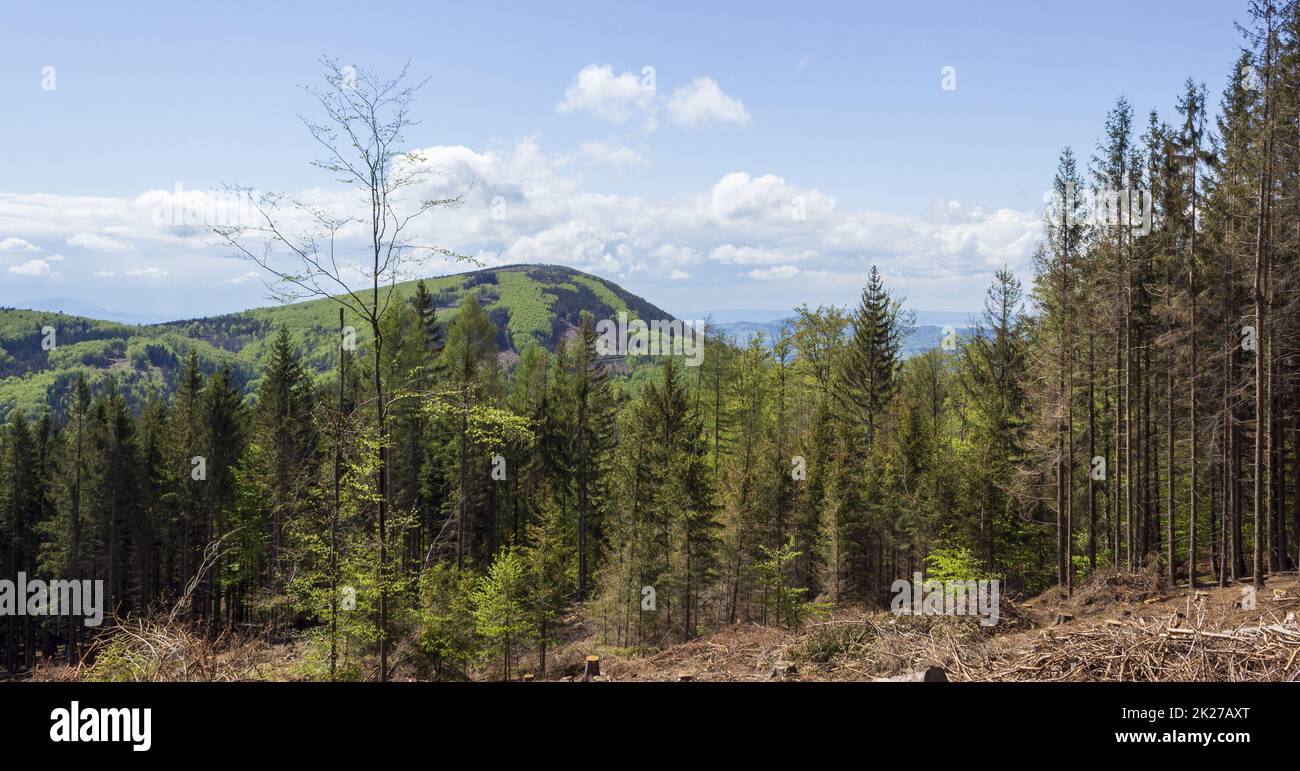 View from velky javornik to landscape 14 Stock Photo - Alamy