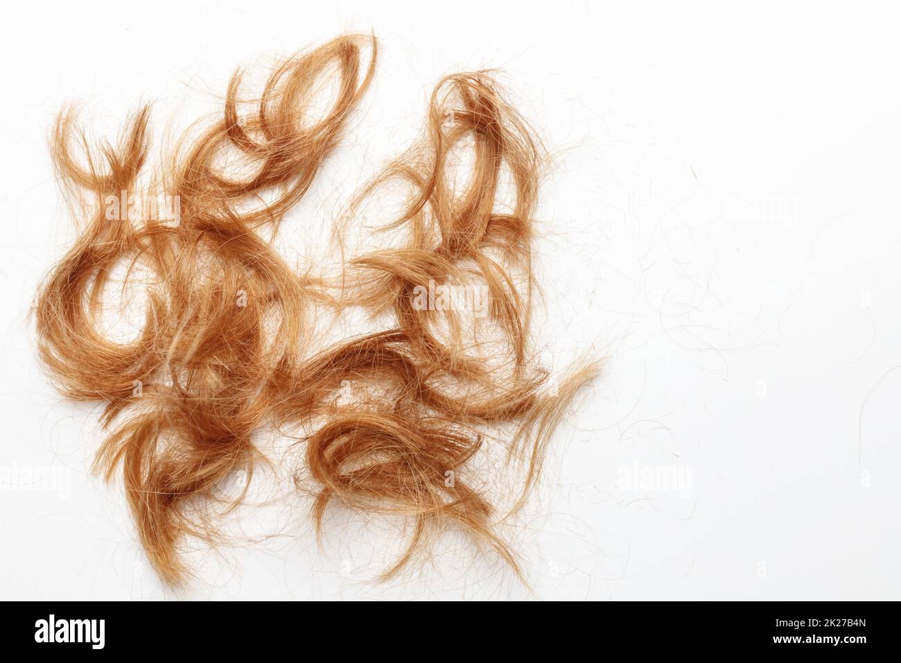 Very disheveled black hair isolated on white background. Bad hair day ...