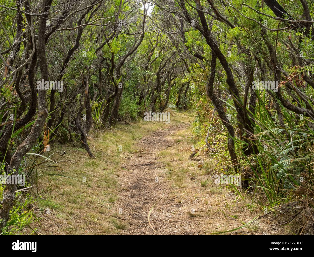 Walking track - Aire River Stock Photo - Alamy