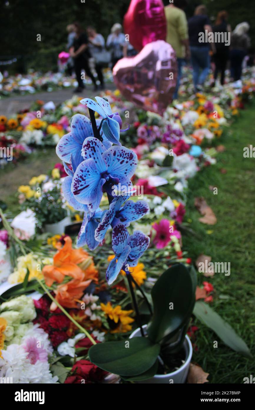 Queen Elizabeth flower funeral tributes, London UK -15.09.2022: Queen ...