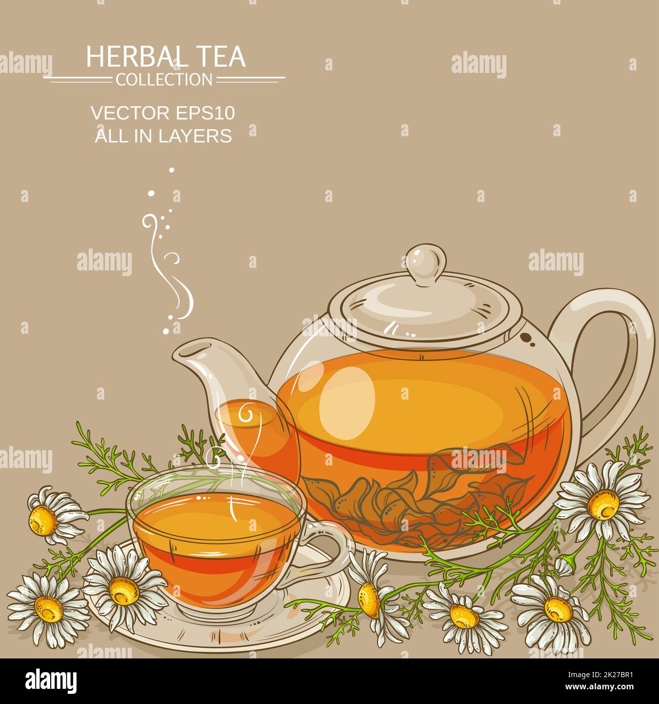 chamomile tea illustration Stock Photo - Alamy
