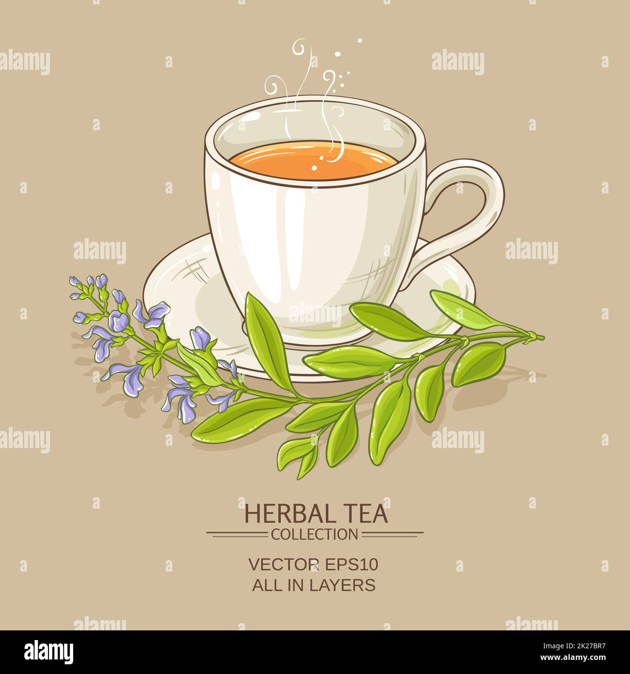 sage tea illustration Stock Photo - Alamy