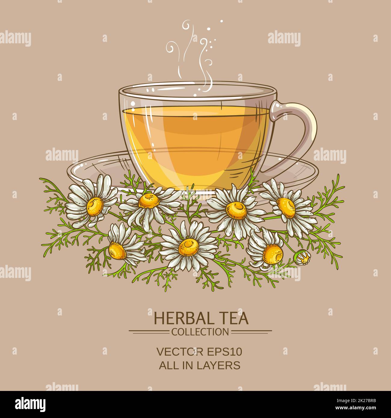 cup of chamomile tea Stock Photo - Alamy