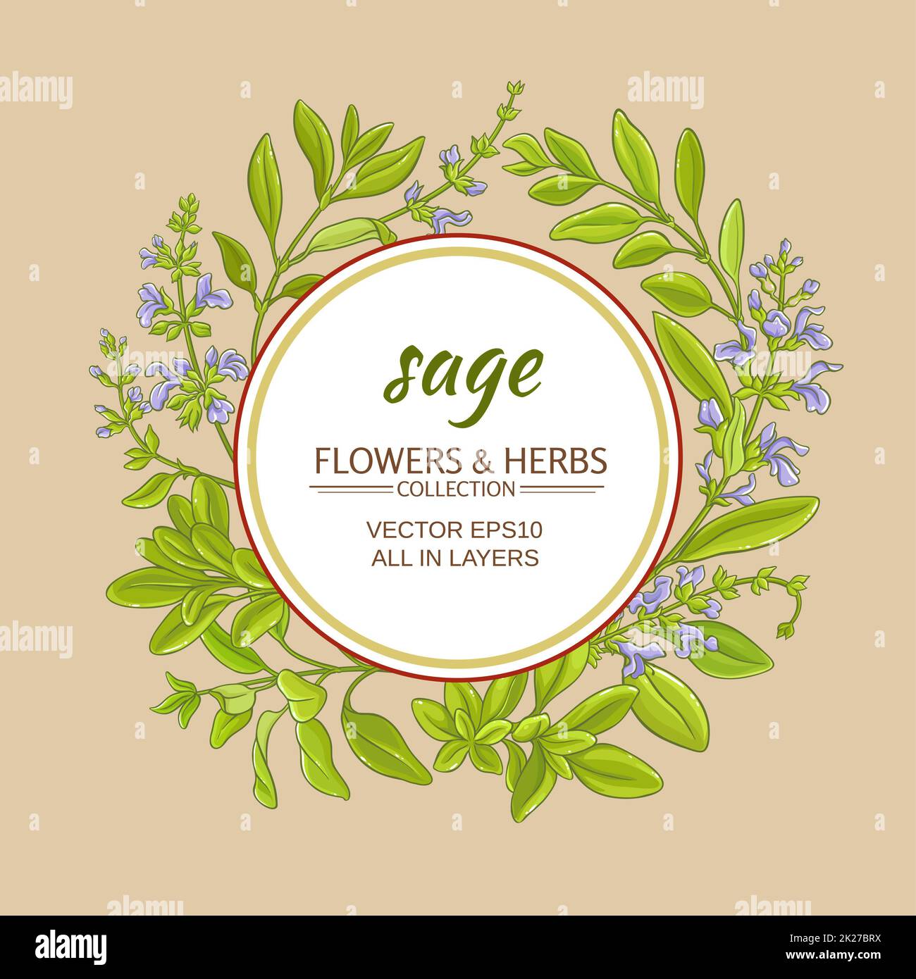 sage vector frame Stock Photo - Alamy