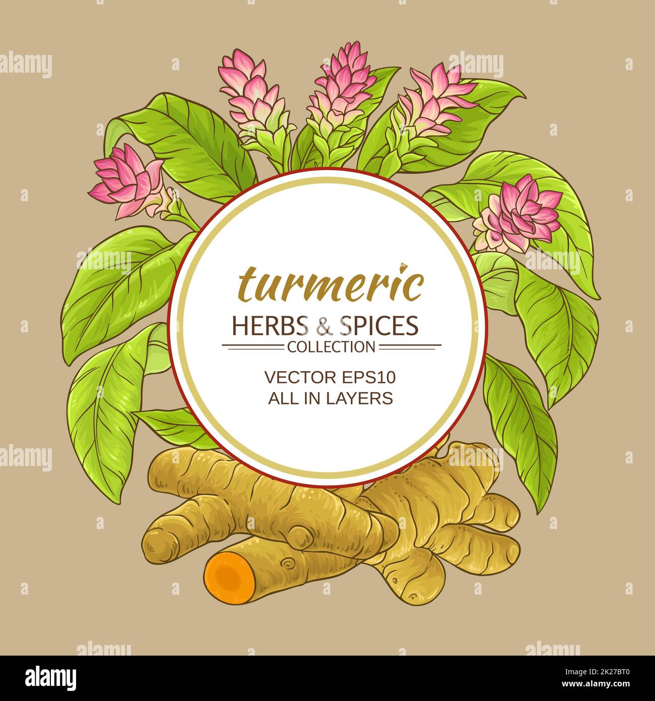 turmeric vector frame Stock Photo - Alamy