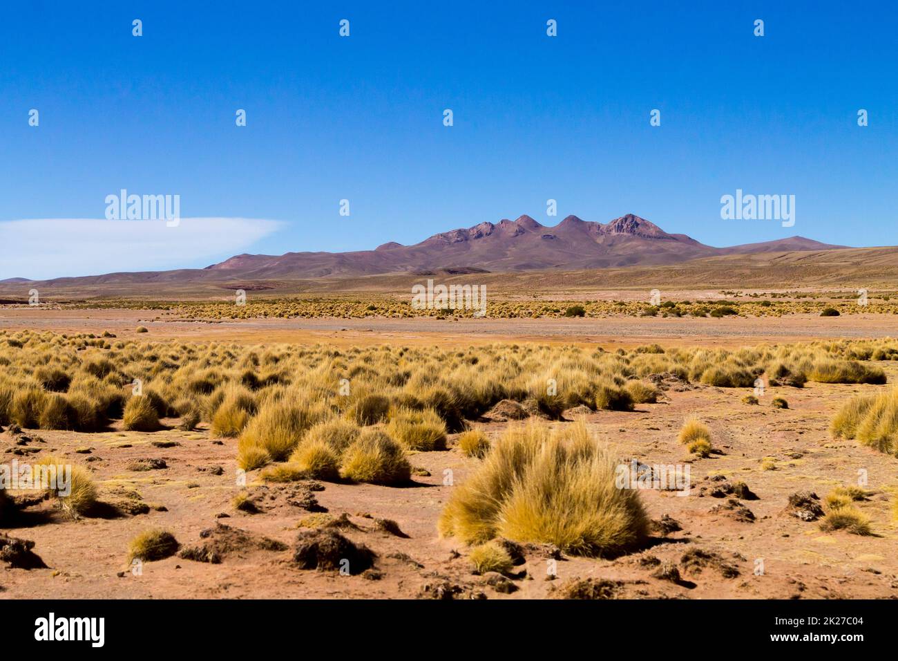 Bolivian mountains landscape,Bolivia Stock Photo - Alamy