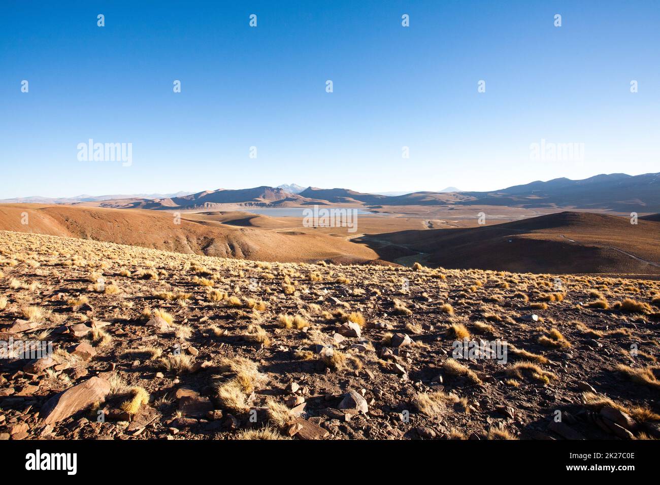Lagoon vegetation view hi-res stock photography and images - Alamy