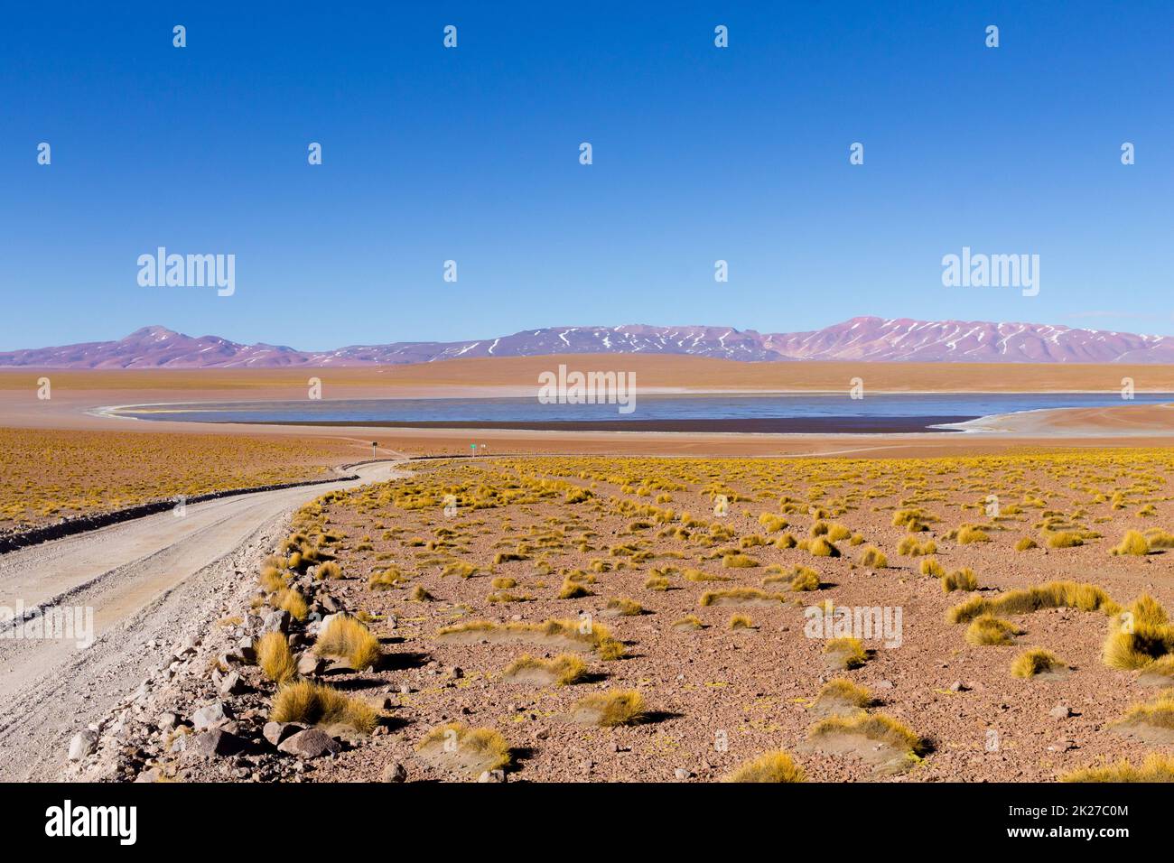 Bolivian lagoon view,Bolivia Stock Photo - Alamy