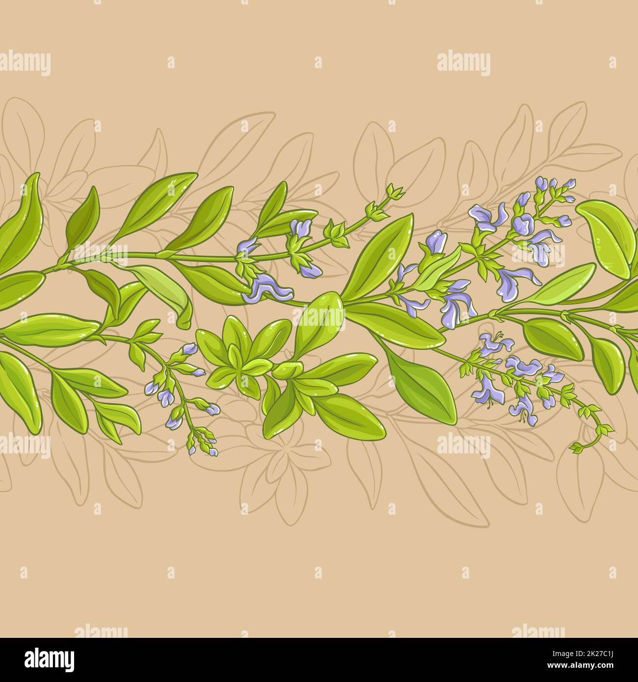 Sage green pattern hi-res stock photography and images - Alamy