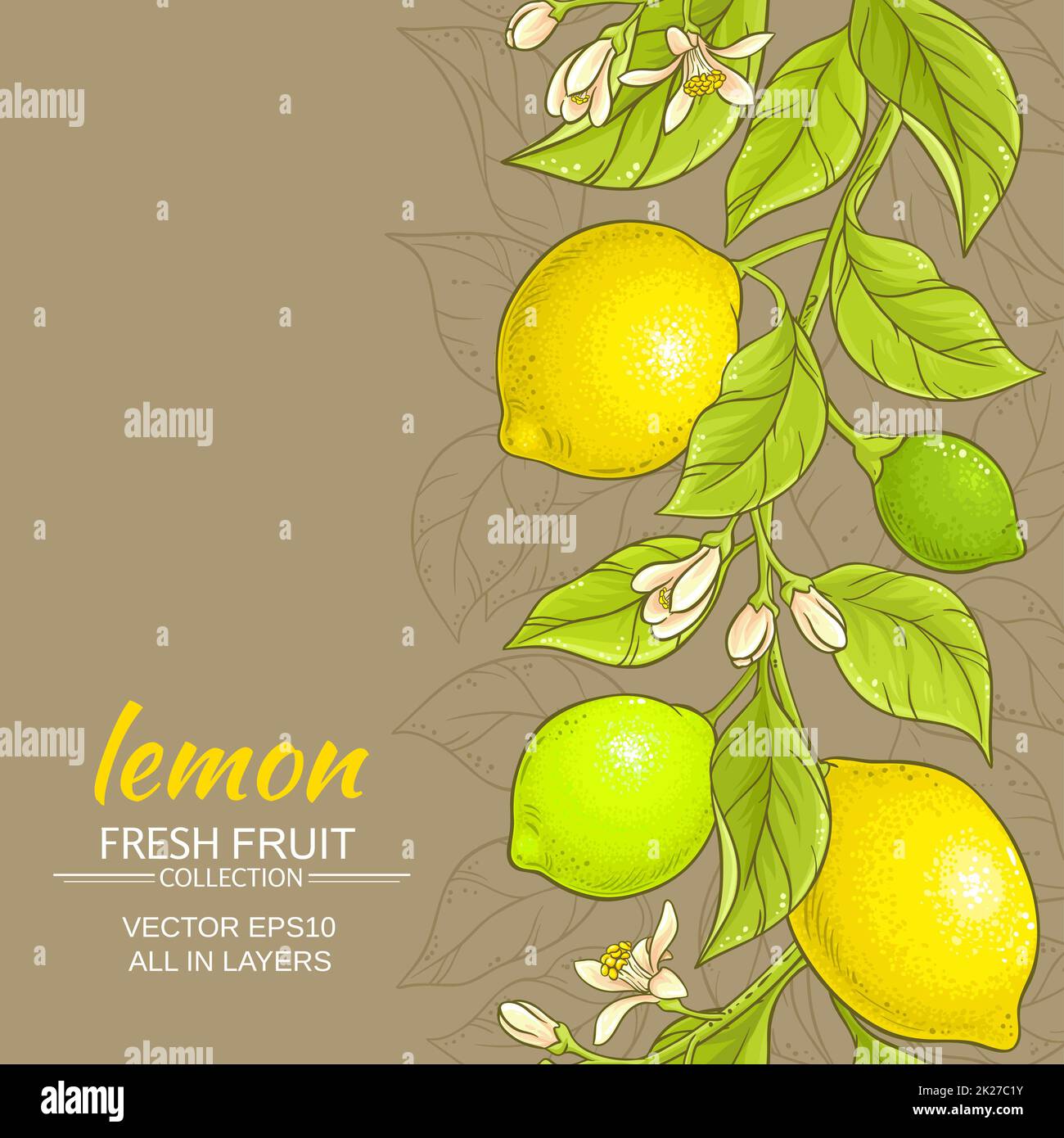 Lemon color background hi-res stock photography and images - Alamy