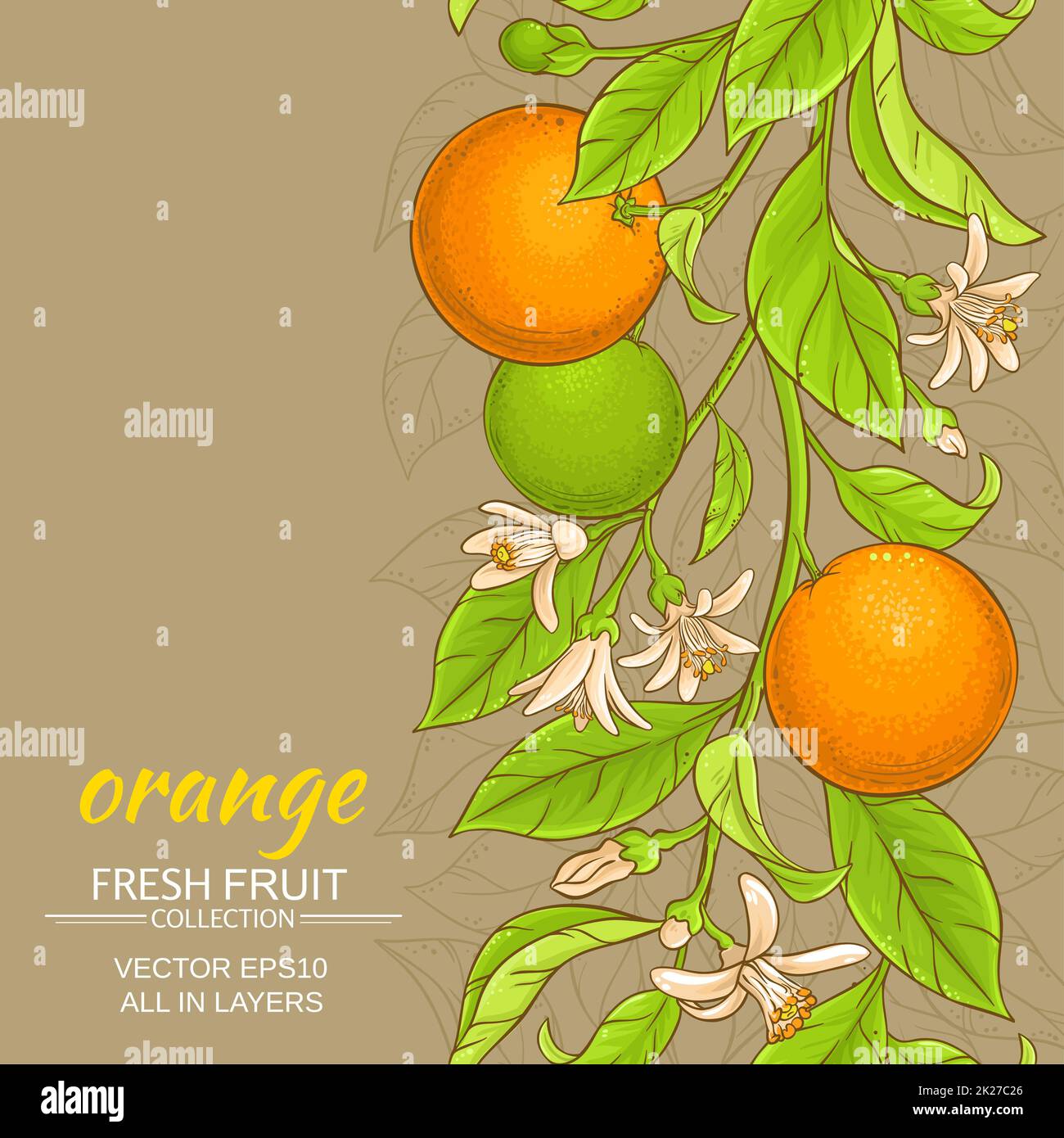 orange vector background Stock Photo - Alamy