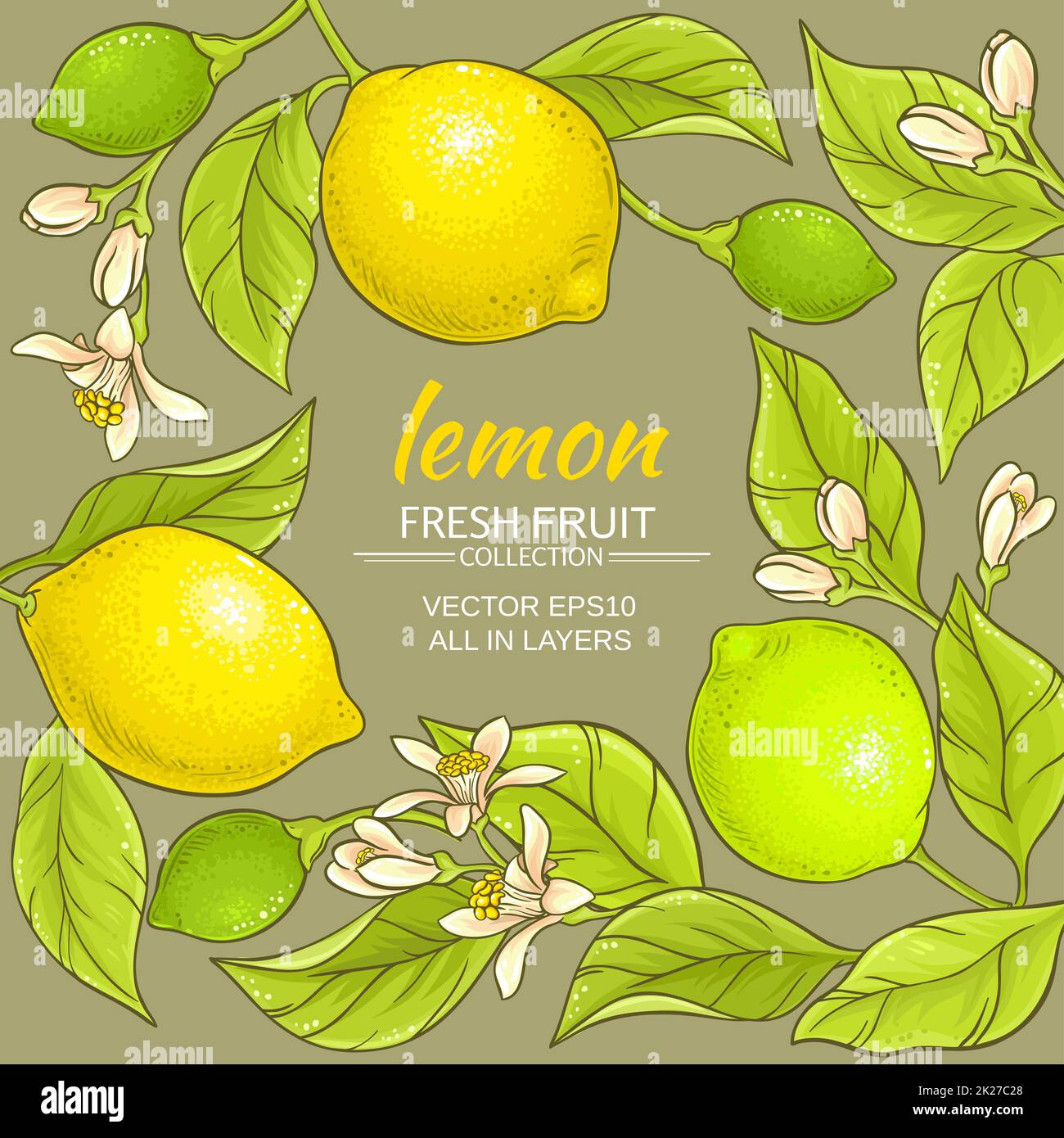 lemon vector frame Stock Photo - Alamy