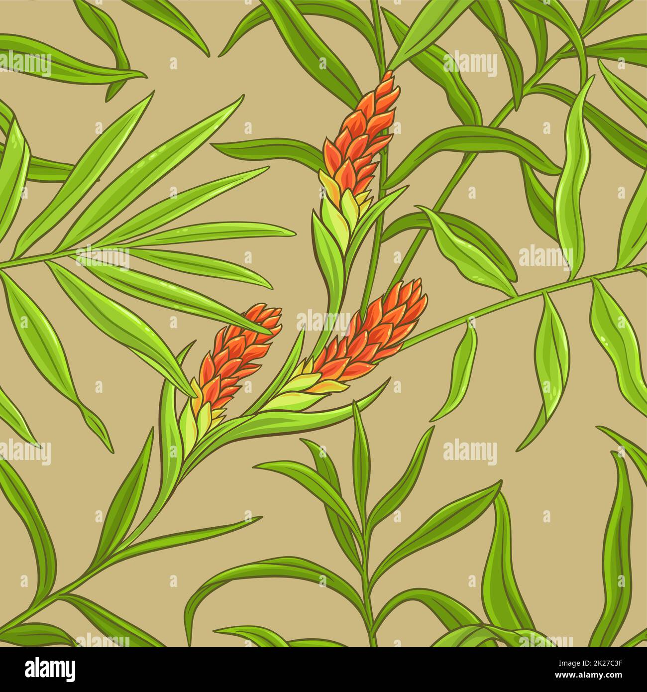 ginger vector pattern Stock Photo - Alamy