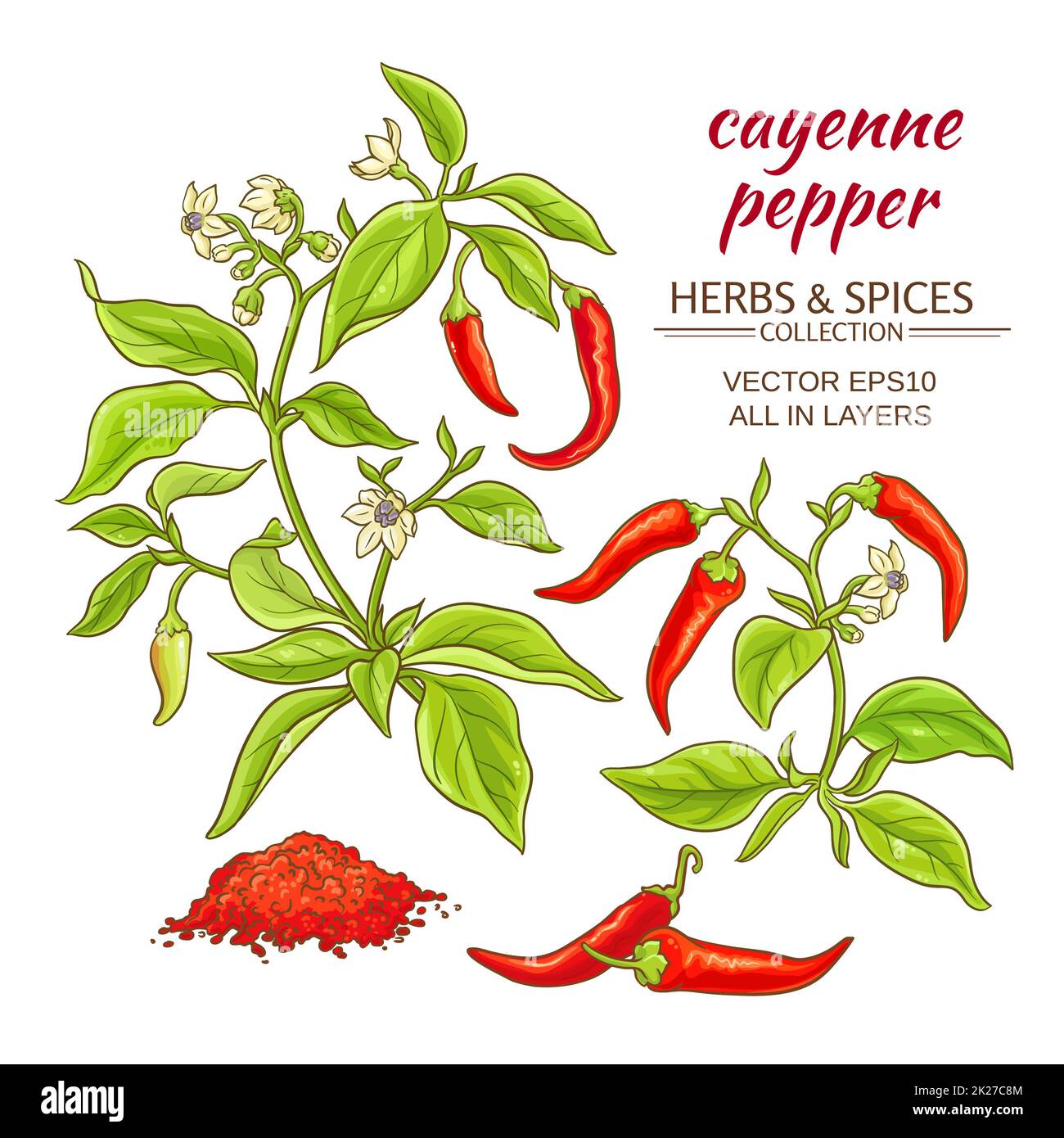 cayenne pepper set Stock Photo - Alamy