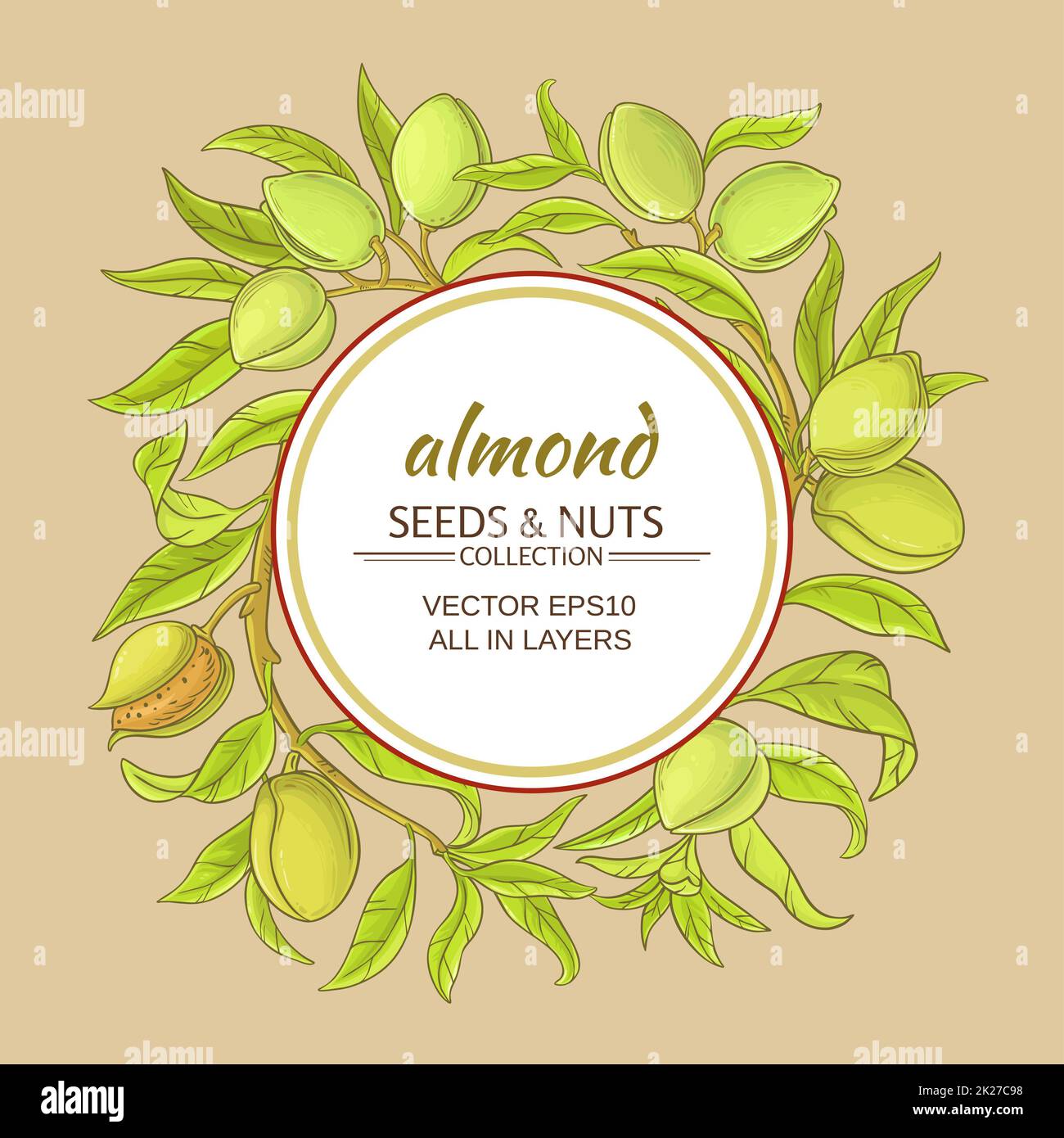almond vector frame Stock Photo - Alamy