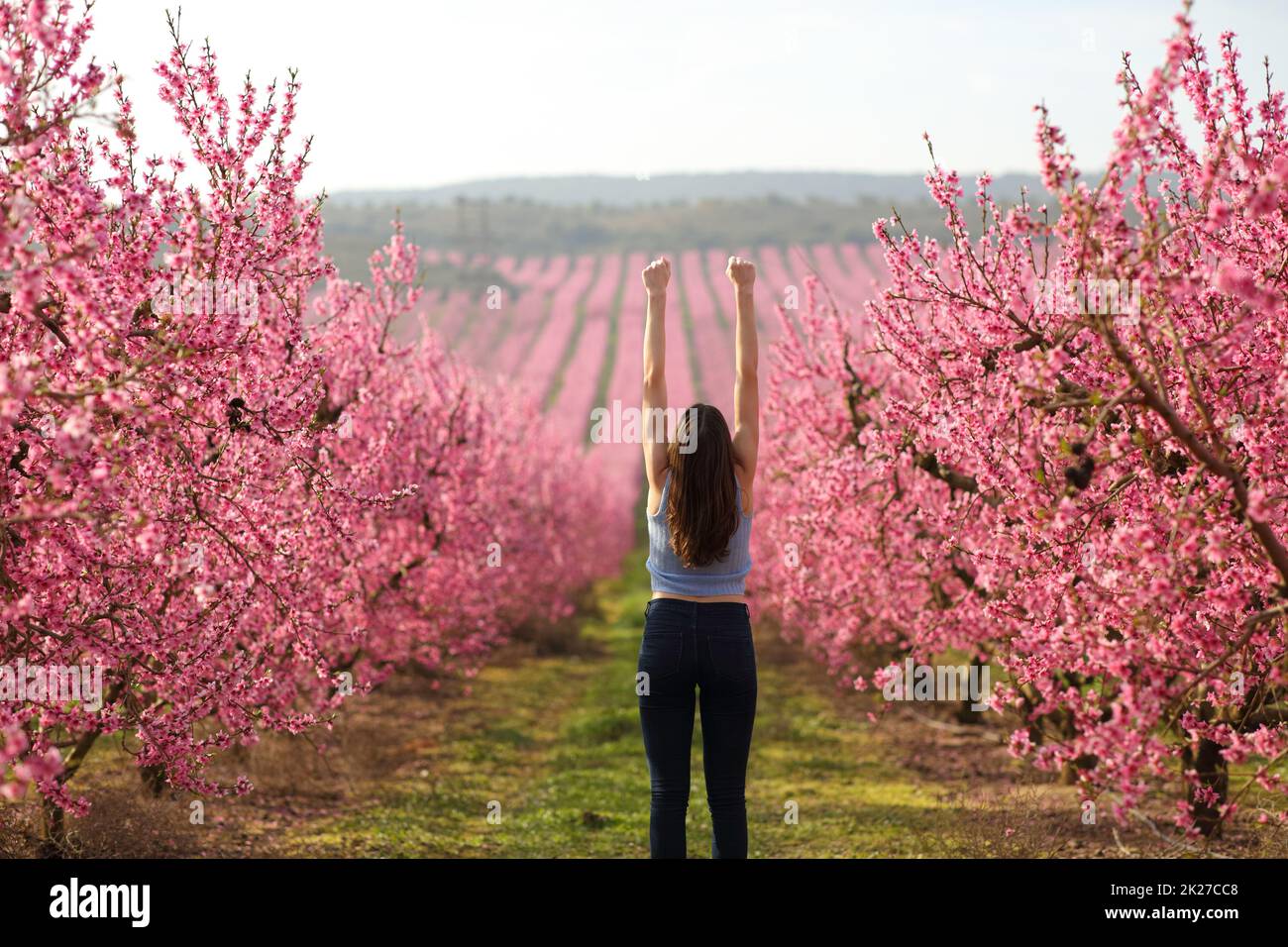 Back view of a excited female raising arms in a pink flowers field ...