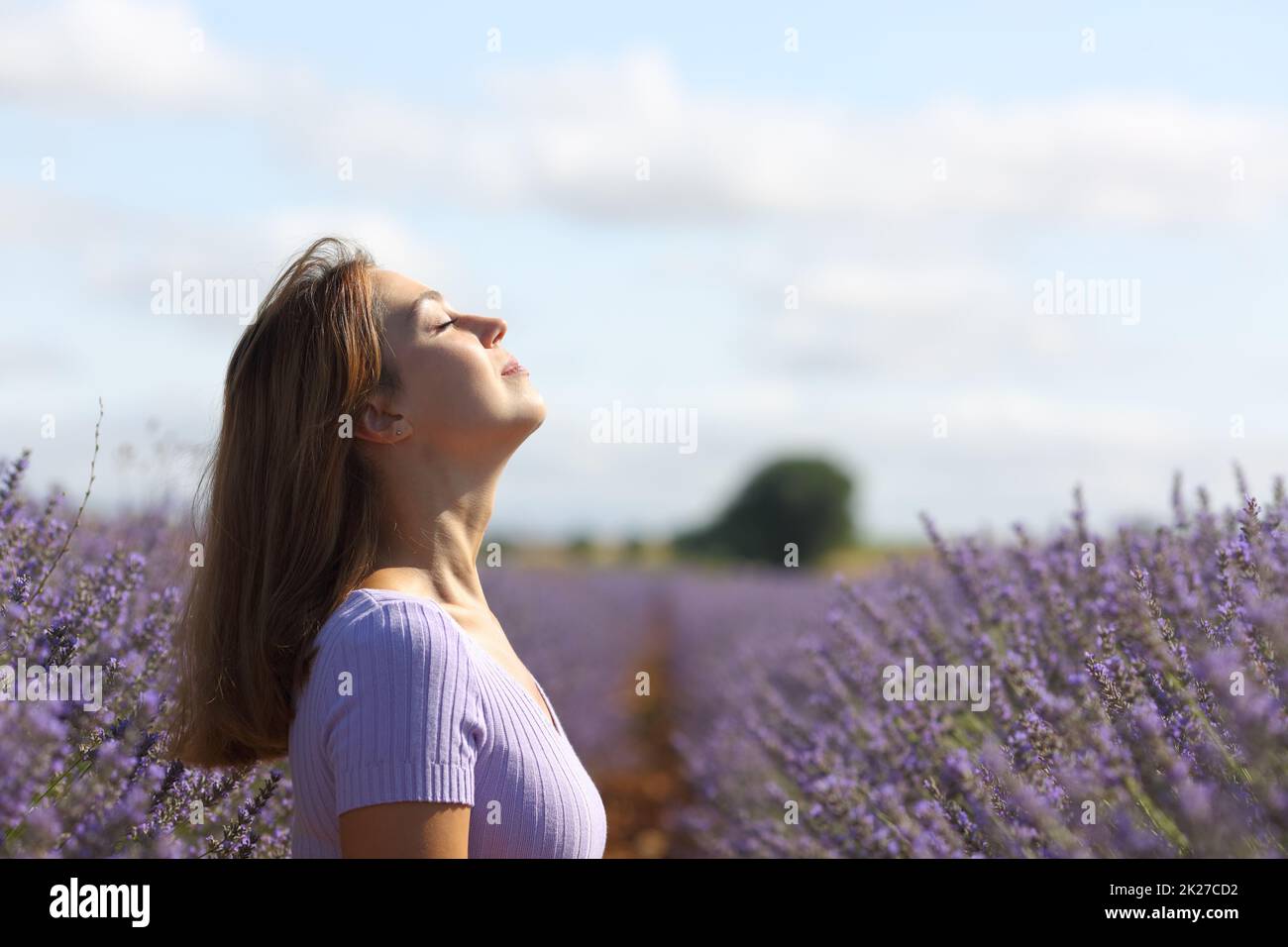 Woman relaxing in lavender field breathing fresh air Stock Photo - Alamy