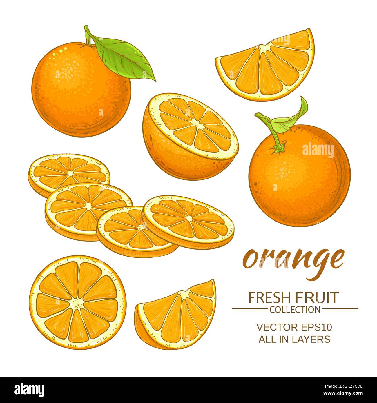 Set orange tree vector Cut Out Stock Images & Pictures - Alamy