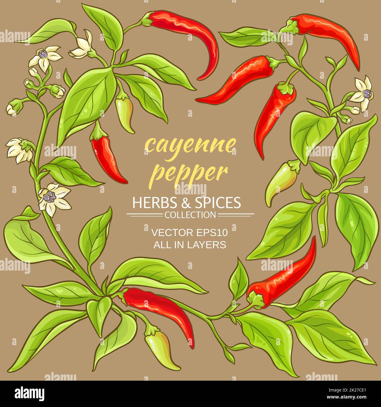 cayenne pepper frame Stock Photo - Alamy