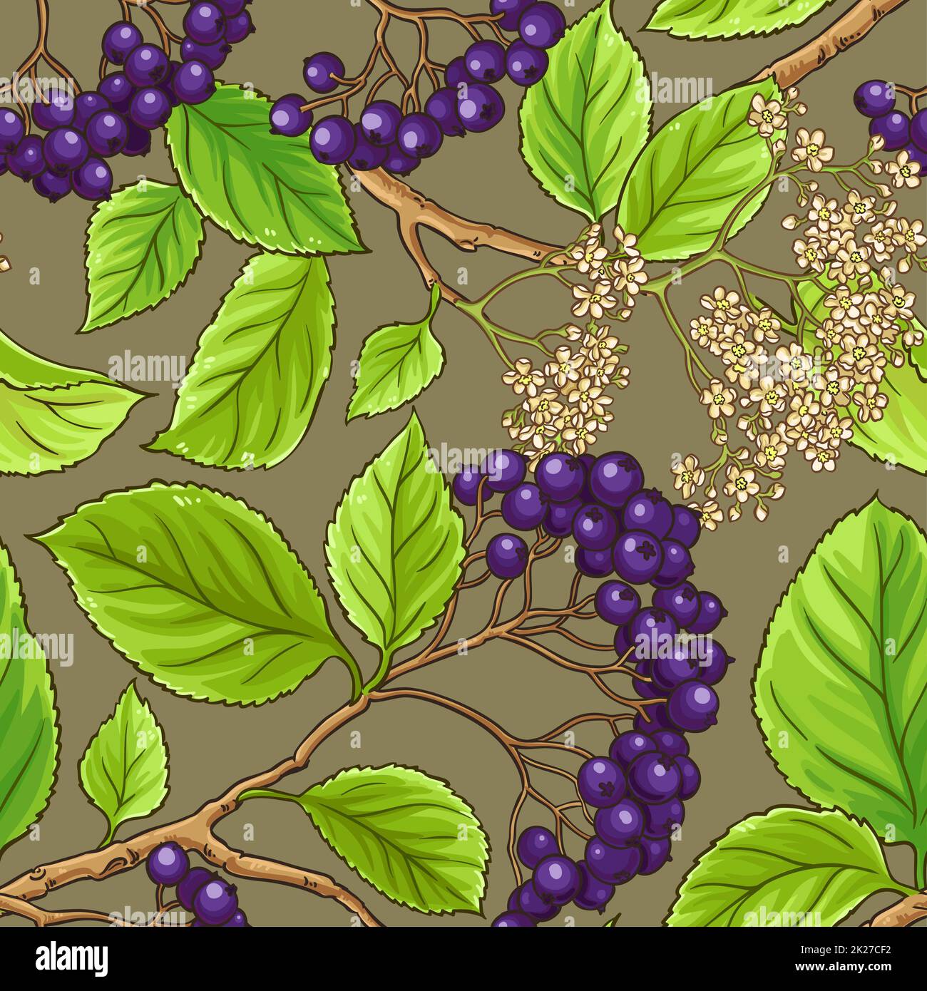 black rowan vector pattern Stock Photo - Alamy