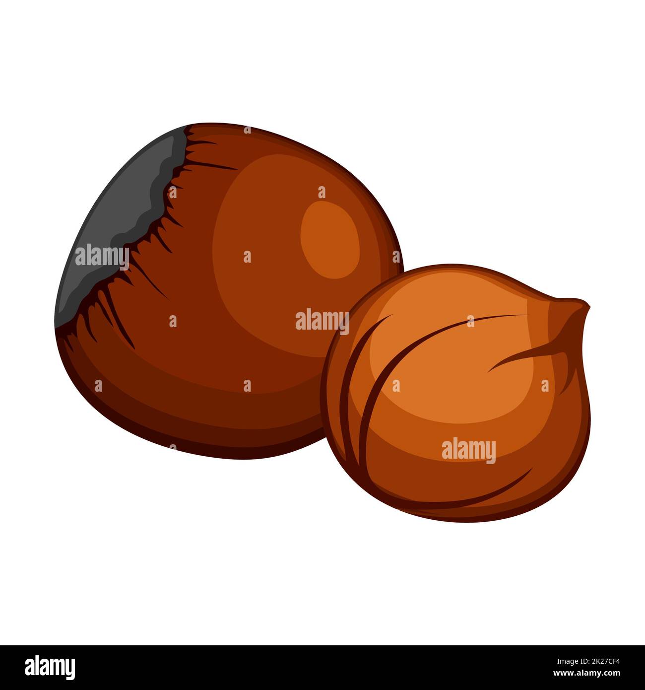 Realistic fresh hazelnut nuts white background - Vector Stock Photo - Alamy