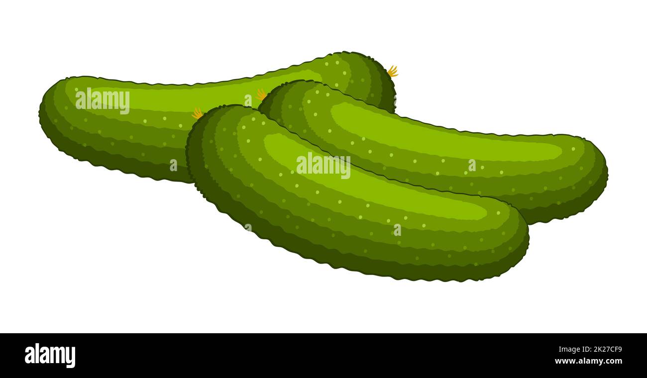 Green cucumber illustration vector Cut Out Stock Images & Pictures - Alamy
