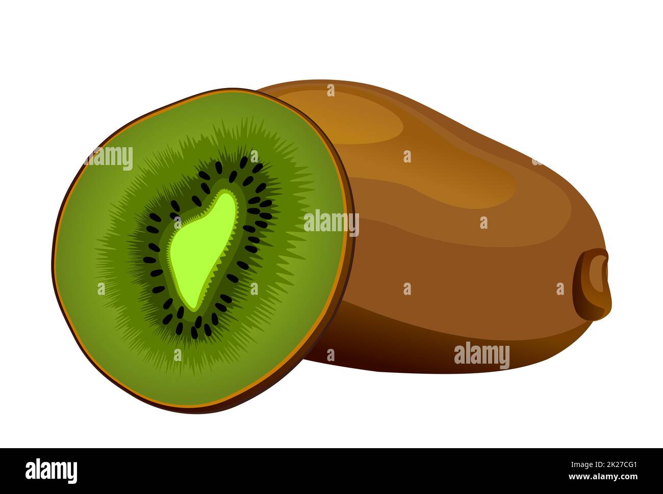 Realistic kiwi fruit on white background - Vector Stock Photo - Alamy