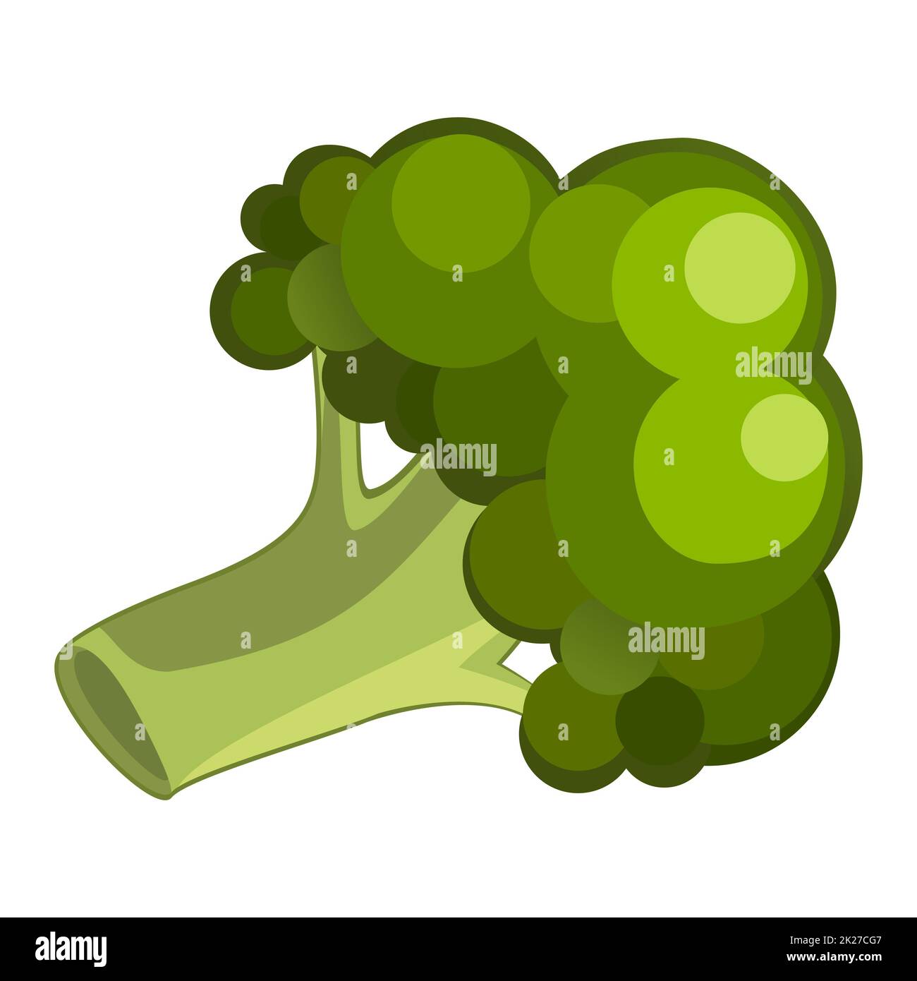 Broccoli drawing hi-res stock photography and images - Alamy