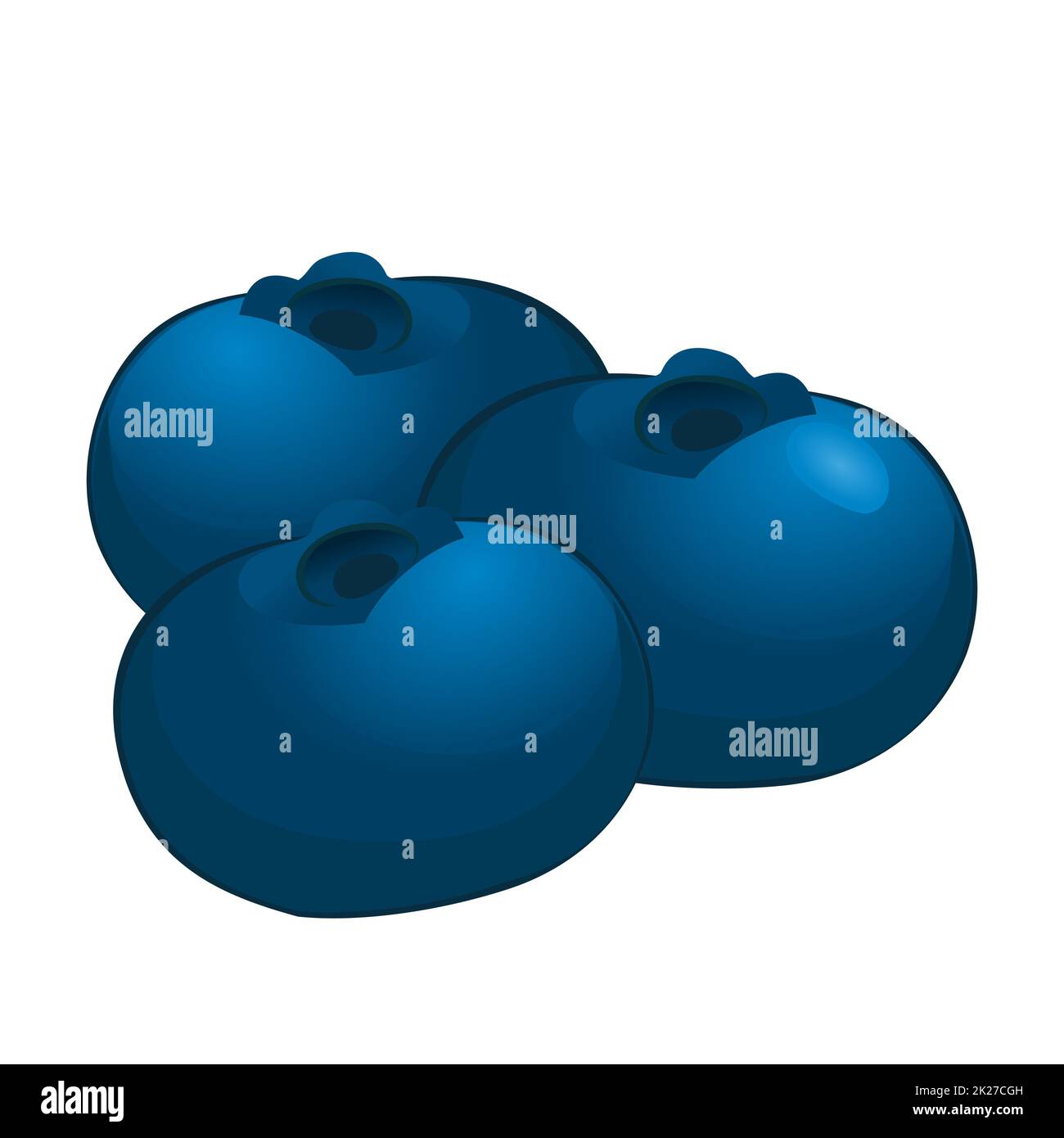 Realistic illustration Cut Out Stock Images & Pictures - Alamy