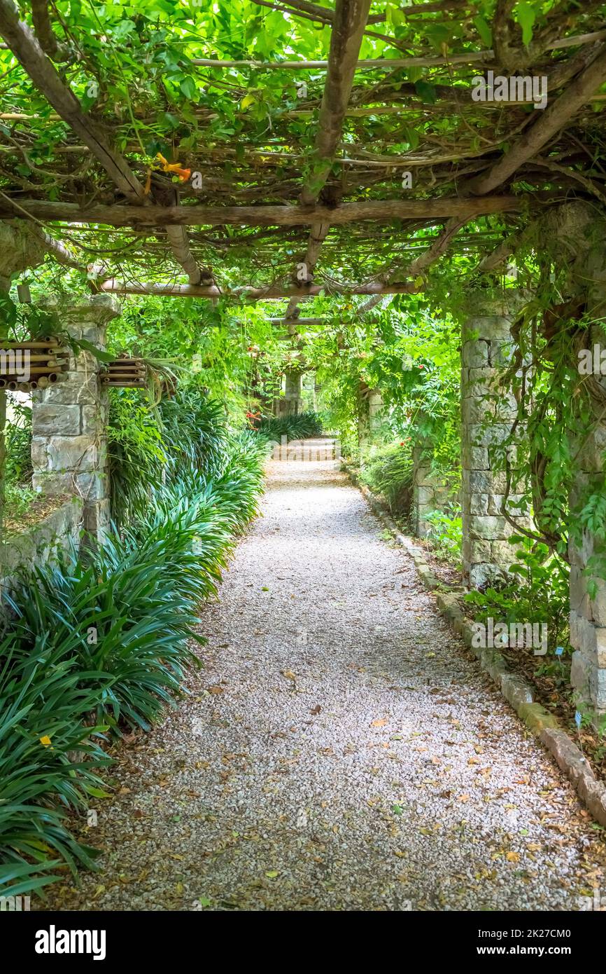 Garden with Pergola structure during summer season. Architecture and ...