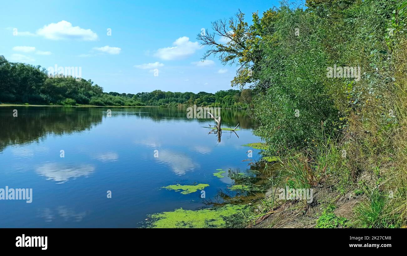 Row of willows hi-res stock photography and images - Alamy