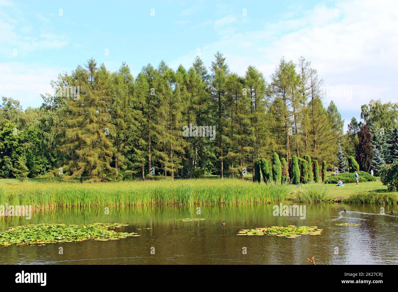 People spend the weekend in nature near the lake. Covid-19 isolation in ...