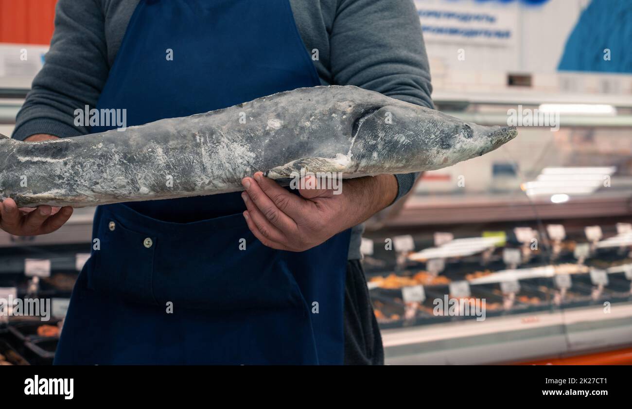 Fishmonger holding fish hi-res stock photography and images - Alamy