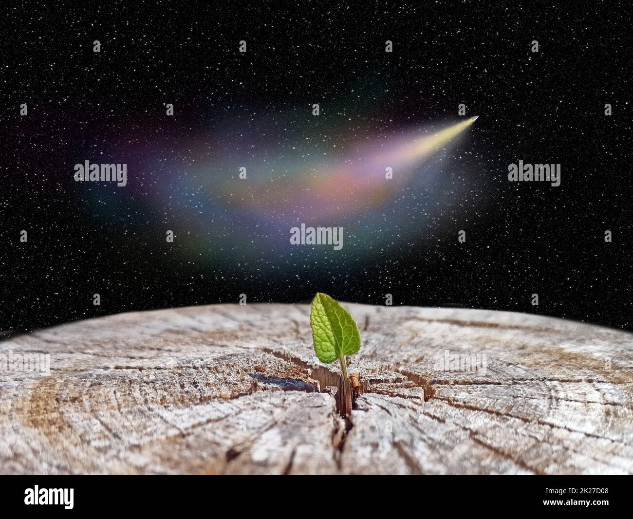Comet flying in space over cut tree and surviving sapling. Space ...