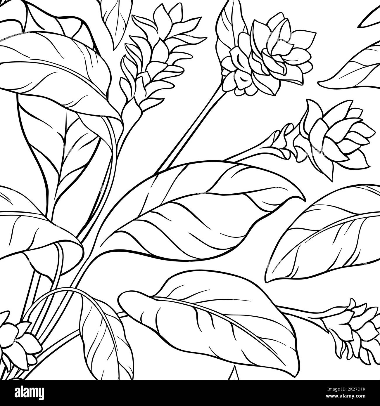 turmeric seamless pattern Stock Photo - Alamy