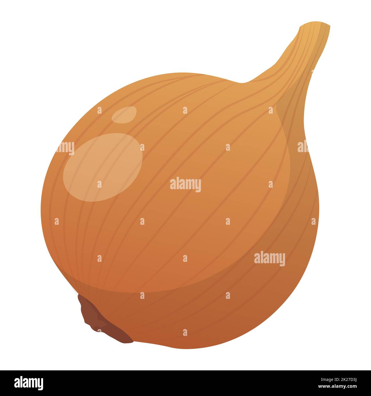 Realistic fresh onion isolated on white background - Vector Stock Photo ...