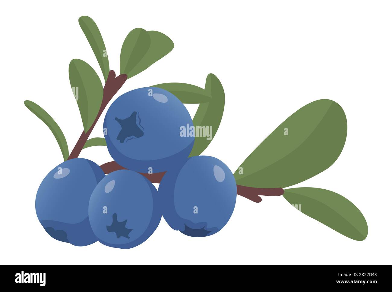 Realistic fresh blueberries on white background - Vector Stock Photo ...