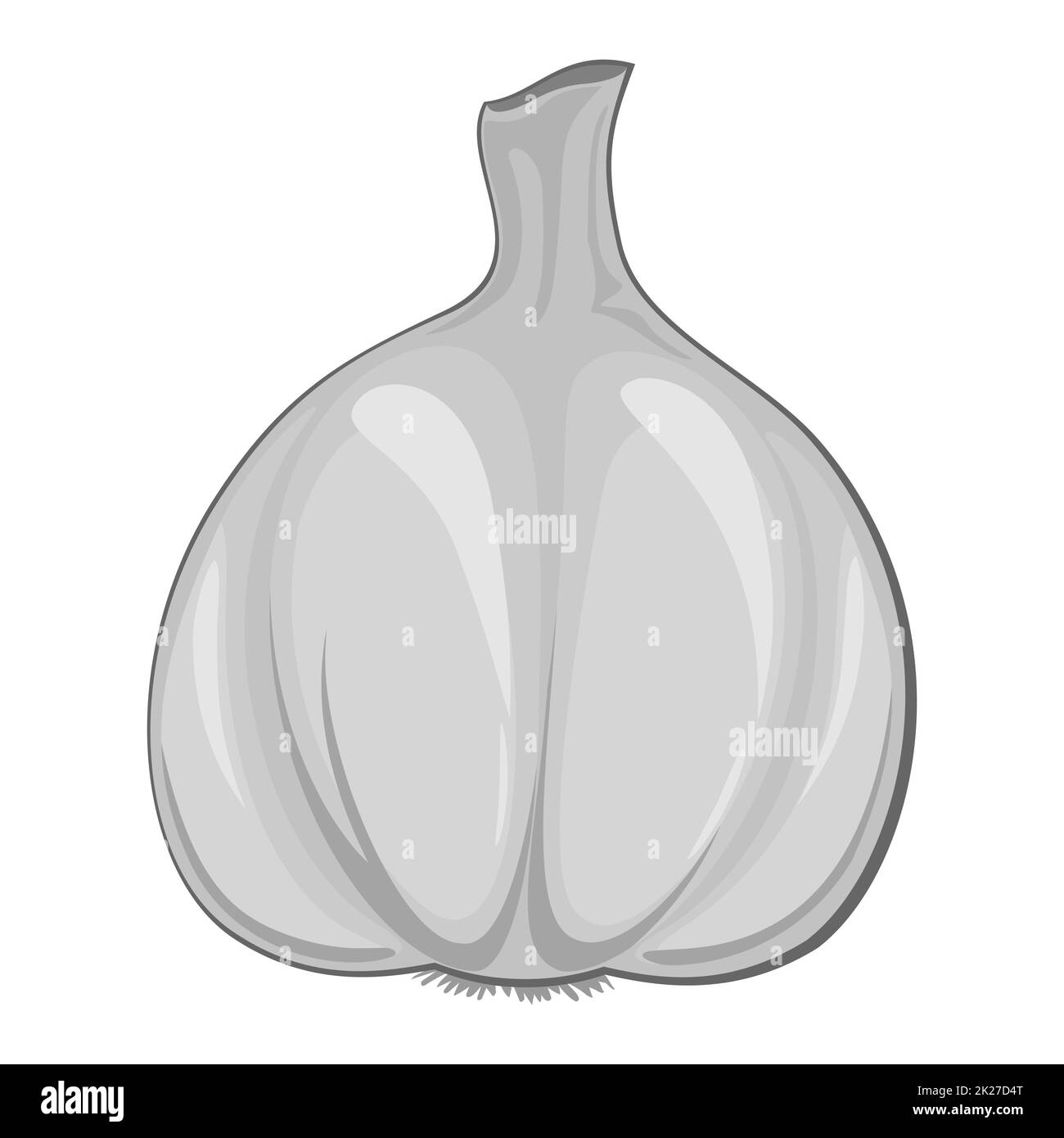 Realistic fresh garlic isolated on white background - Vector Stock ...