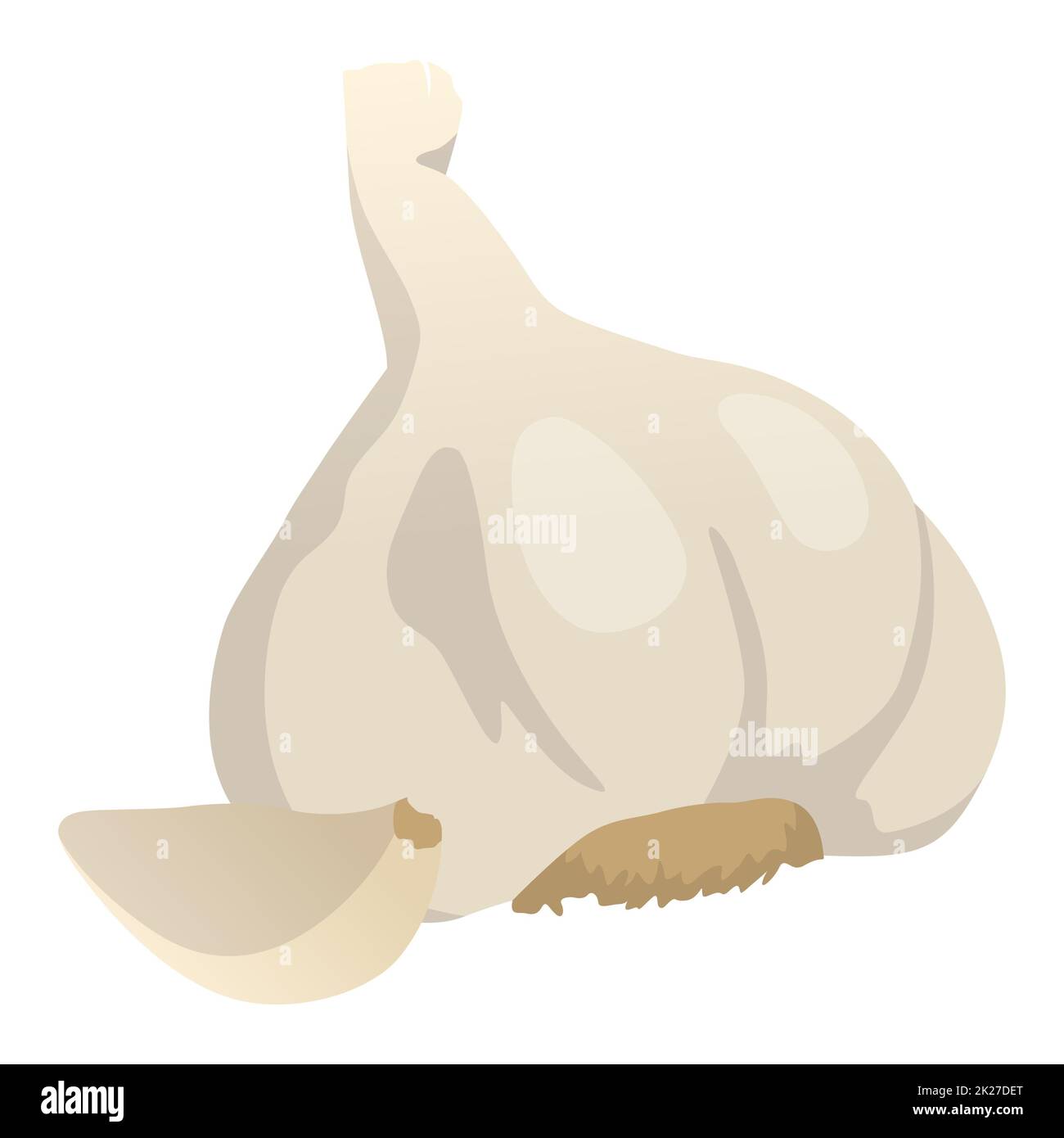 Realistic fresh garlic isolated on white background - Vector Stock ...