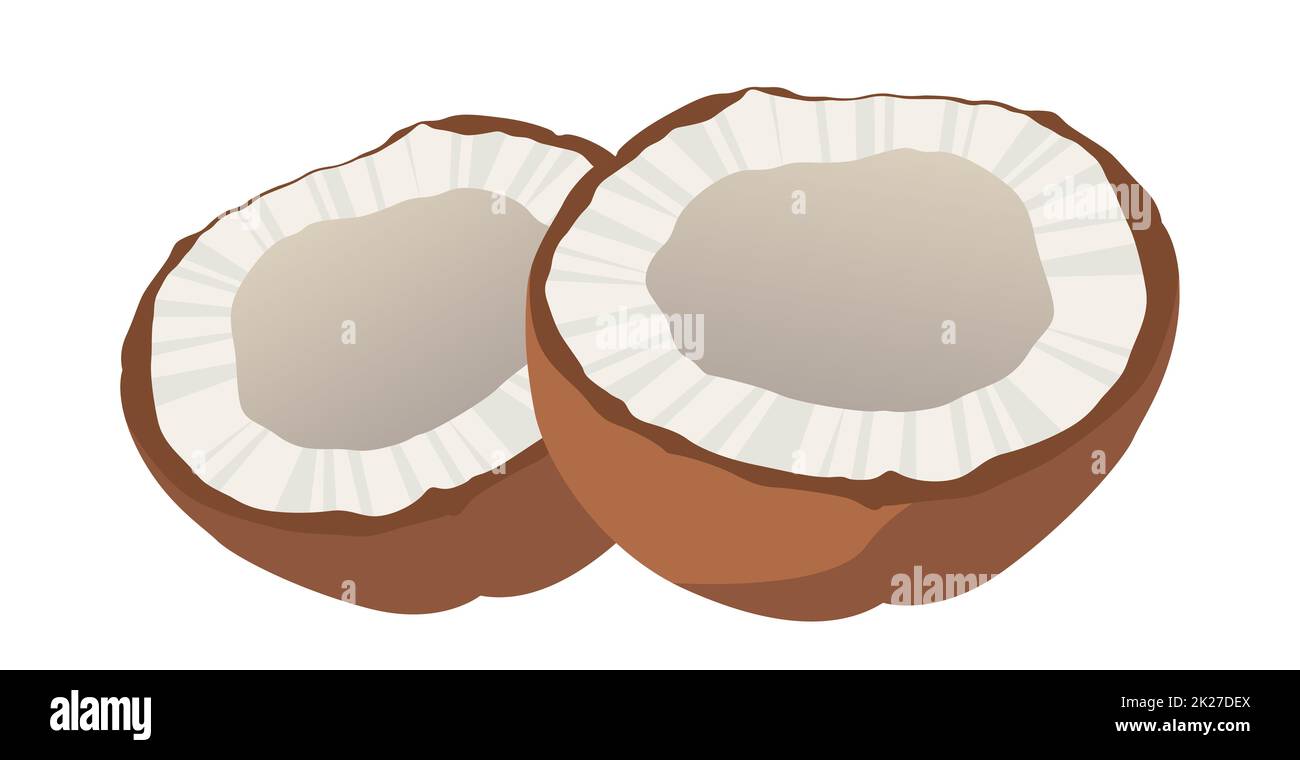 Realistic fresh coconut and coconut milk white background - Vector ...