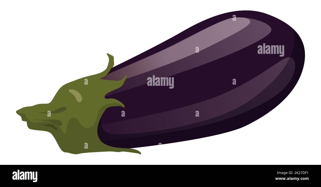 Realistic fresh eggplant isolated on white background - Vector Stock ...