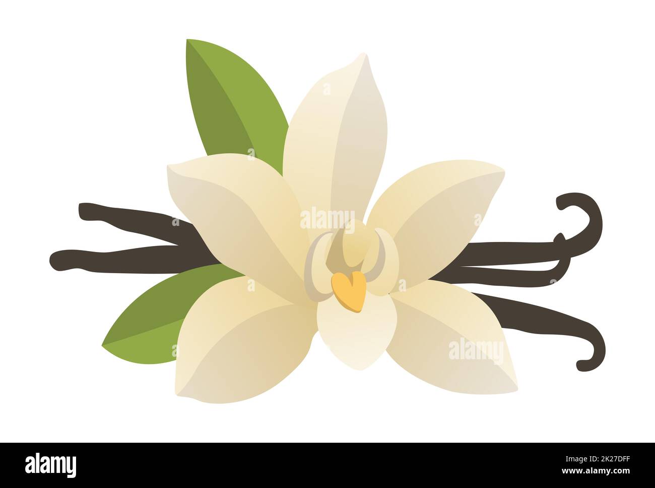 Realistic plant leaves hi-res stock photography and images - Alamy