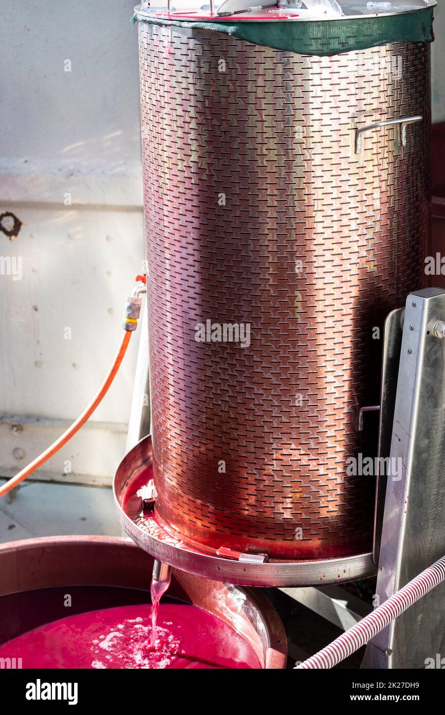 Wine making process hi-res stock photography and images - Alamy