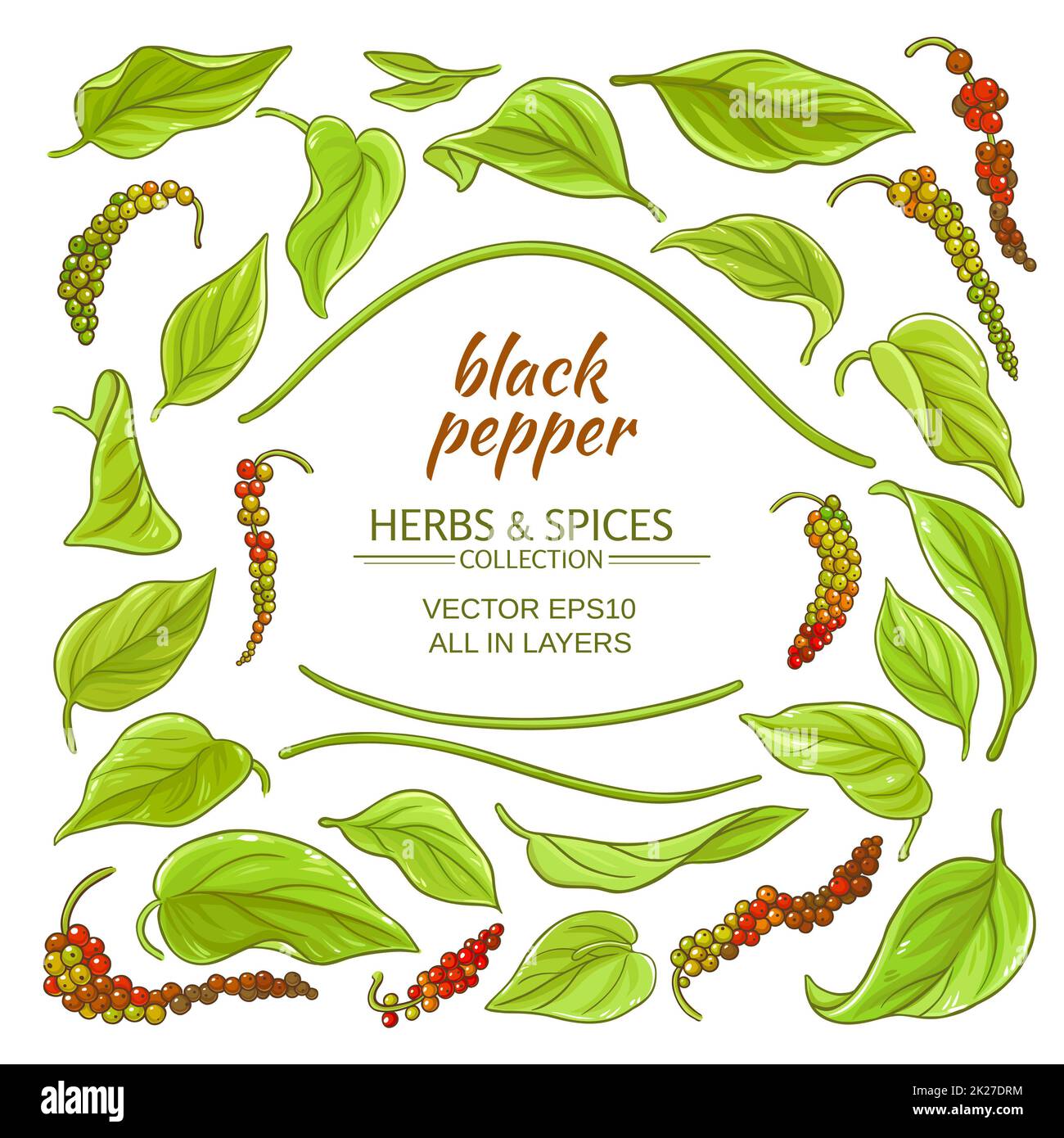 black ground pepper elements set Stock Photo - Alamy