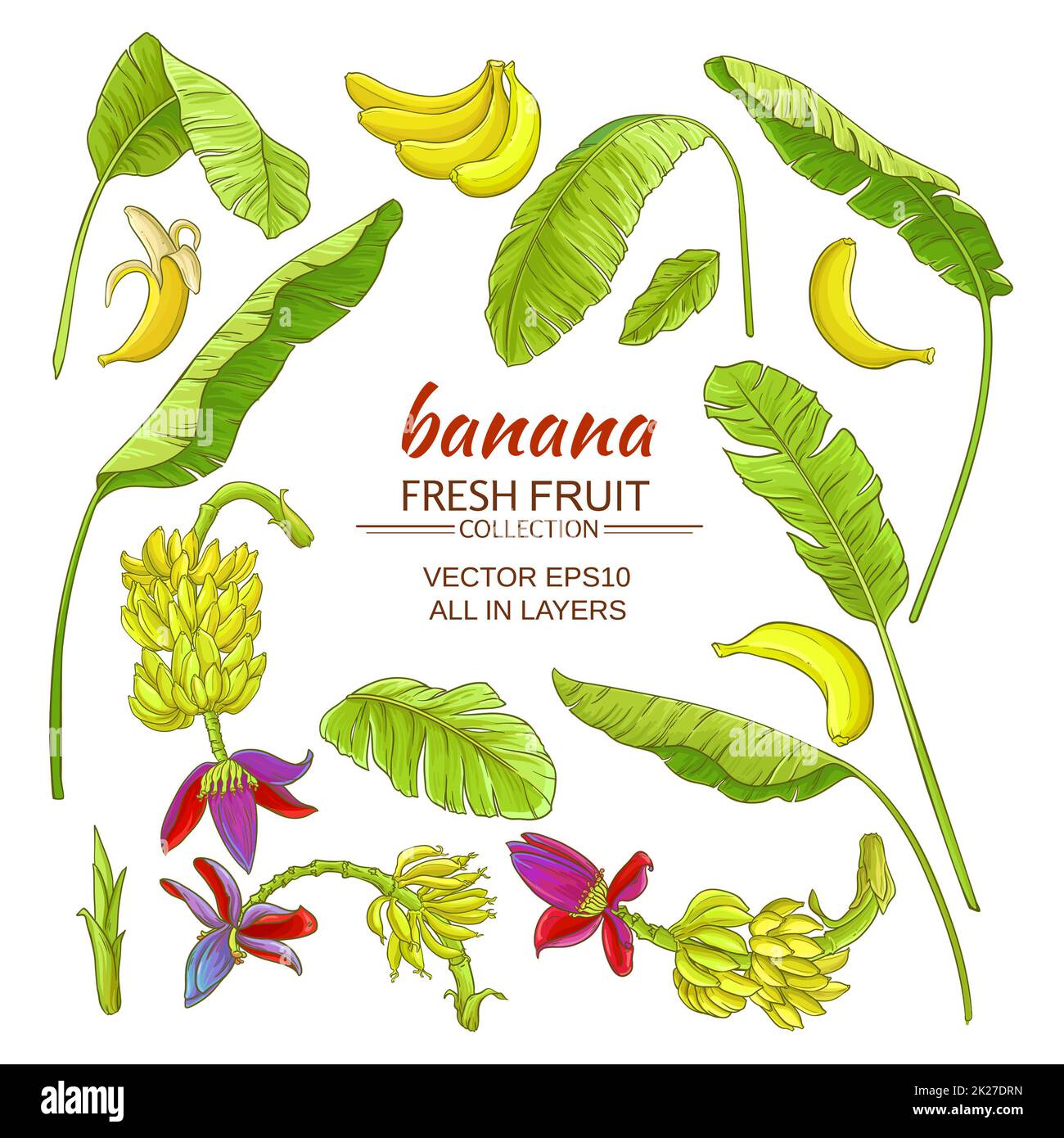 banana elements set Stock Photo - Alamy