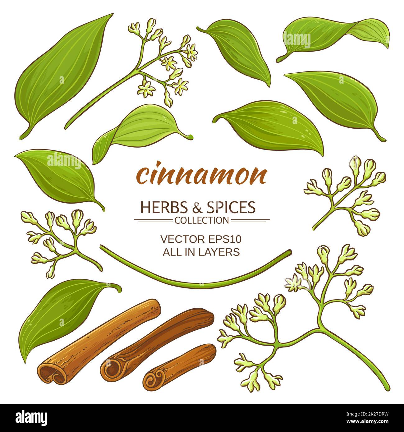 cinnamon elements set Stock Photo - Alamy