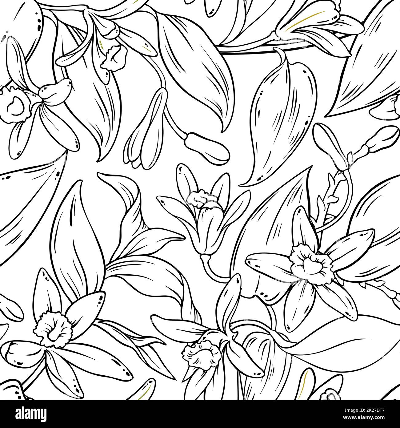 Vanilla dessert illustration Cut Out Stock Images & Pictures - Alamy