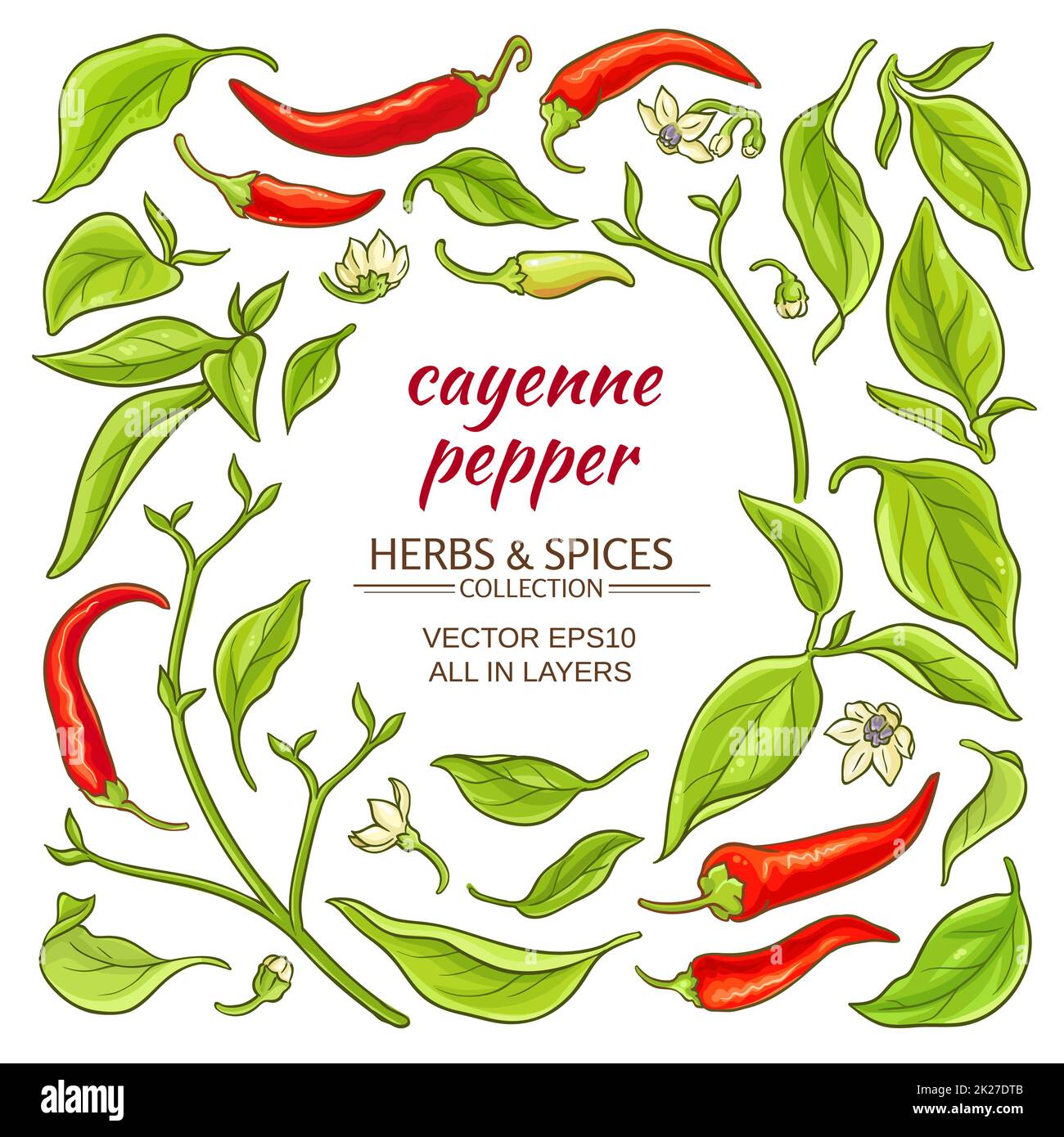 Chilly hot pepper vector Cut Out Stock Images & Pictures - Alamy