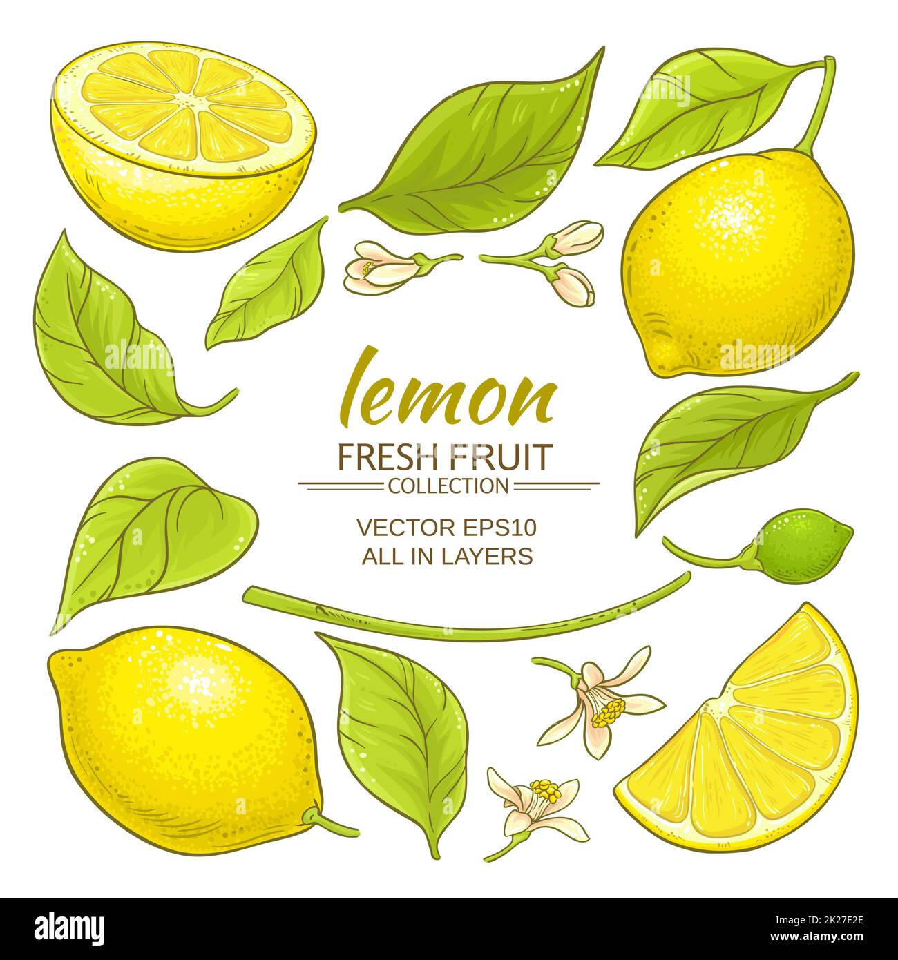 lemon elements set Stock Photo - Alamy