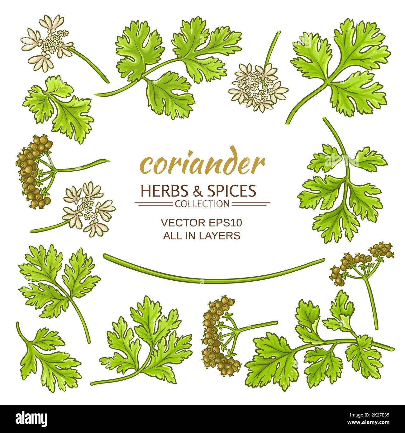 Vegetarian cuisine design elements Cut Out Stock Images & Pictures - Alamy